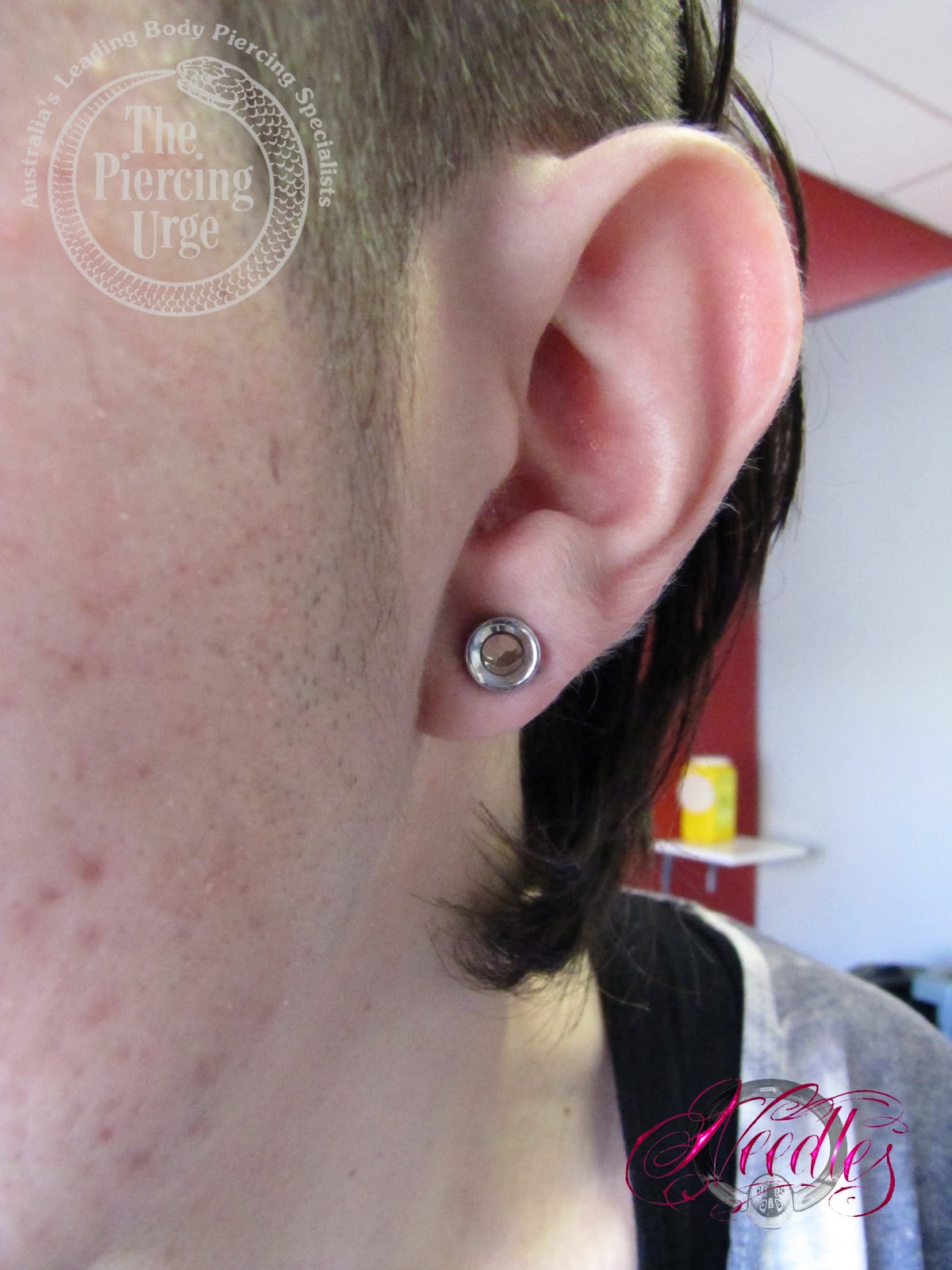 NINE BODY PIERCING BLOG: Healed Both 6g Earlobe Piercings with 6g Eyelets