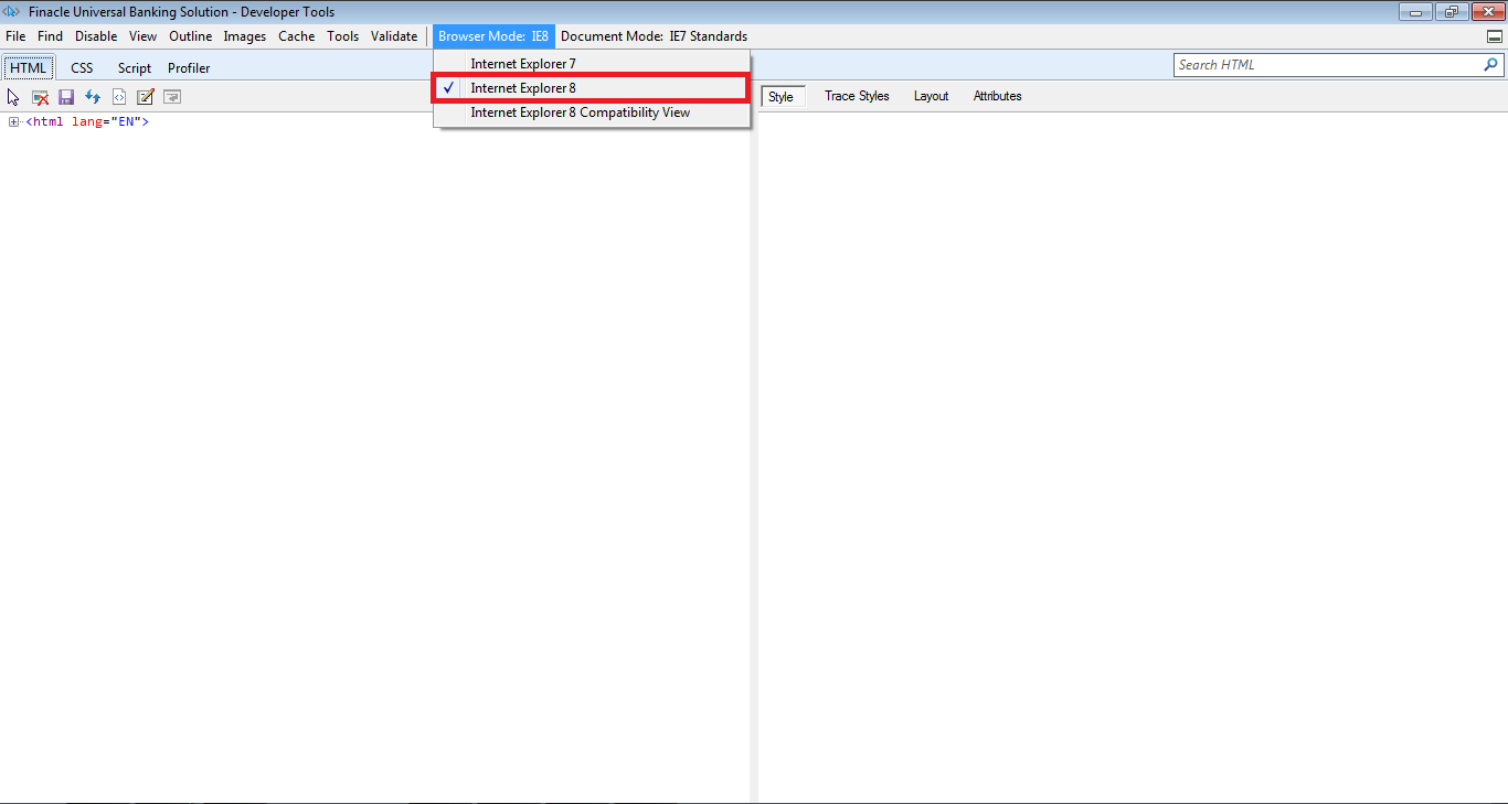 Optimization of Speed of Finacle & Java Setting