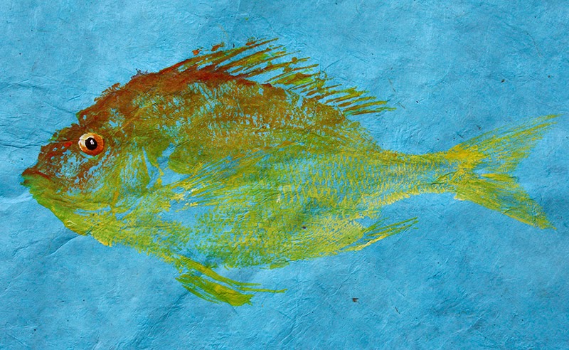 KJF DESIGN Fine Art: Gyotaku: Fish Printing