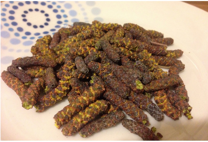 Wild Food Wild Times: Alder and catkins.....edible?