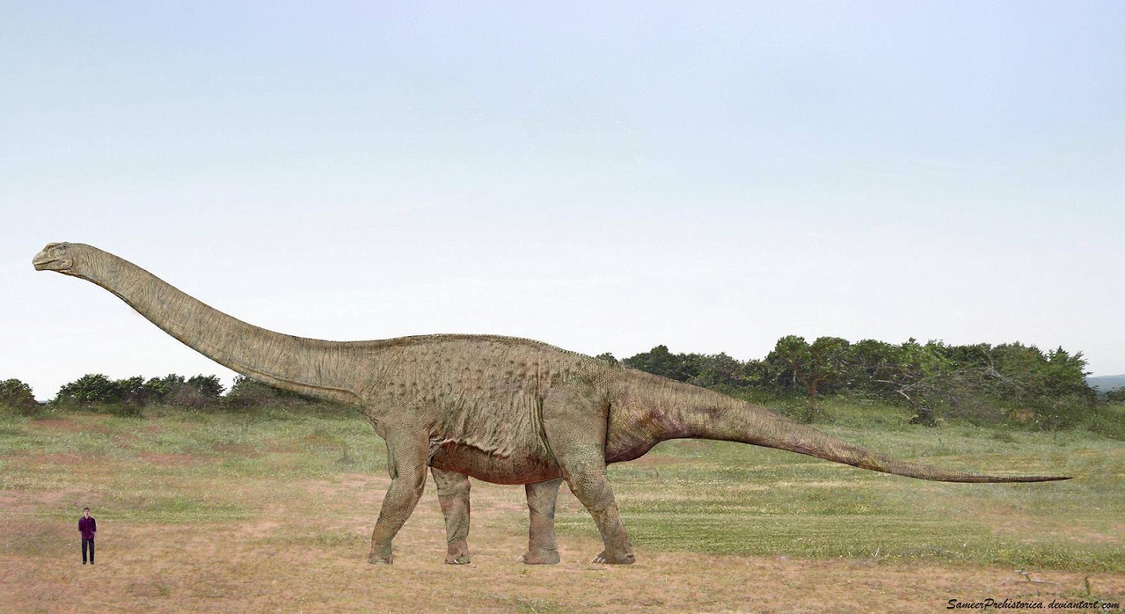 Argentinosaurus