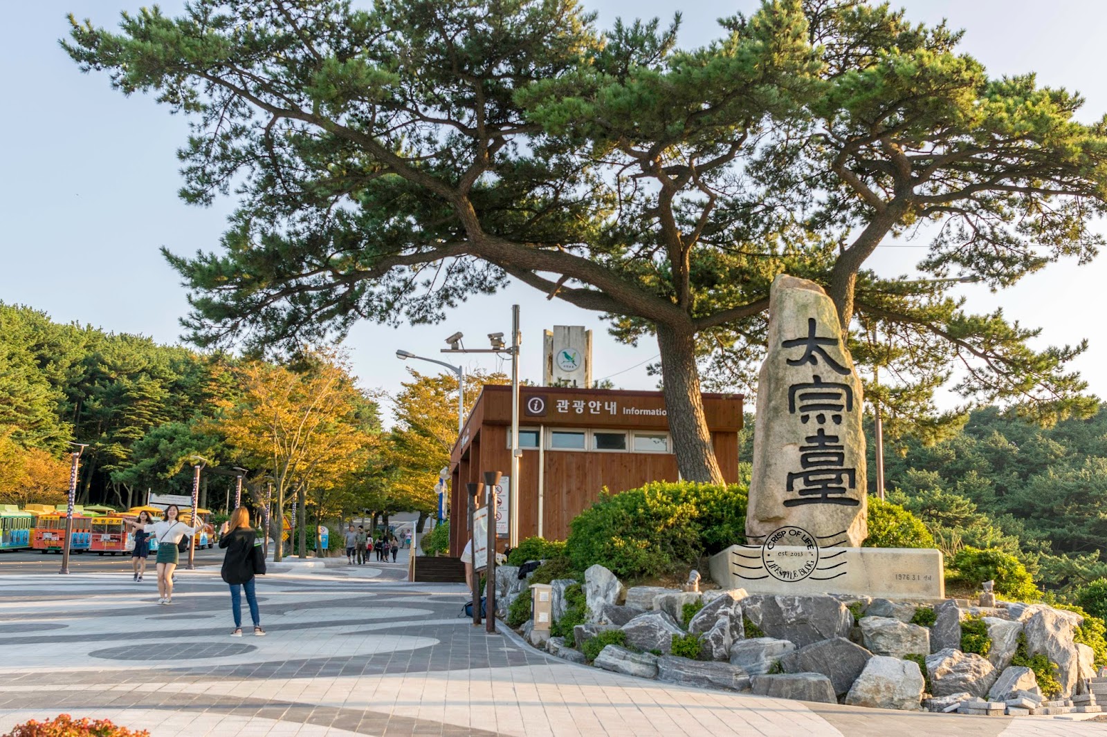 Taejongdae Natural Park @ Busan, South Korea - Crisp of Life