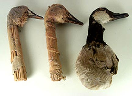 Proof Of the Actual Ancient Americans