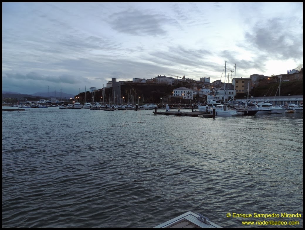 Ría de Ribadeo: Gavia artica, Gavia immer, Mergus serrator, Aythya ...