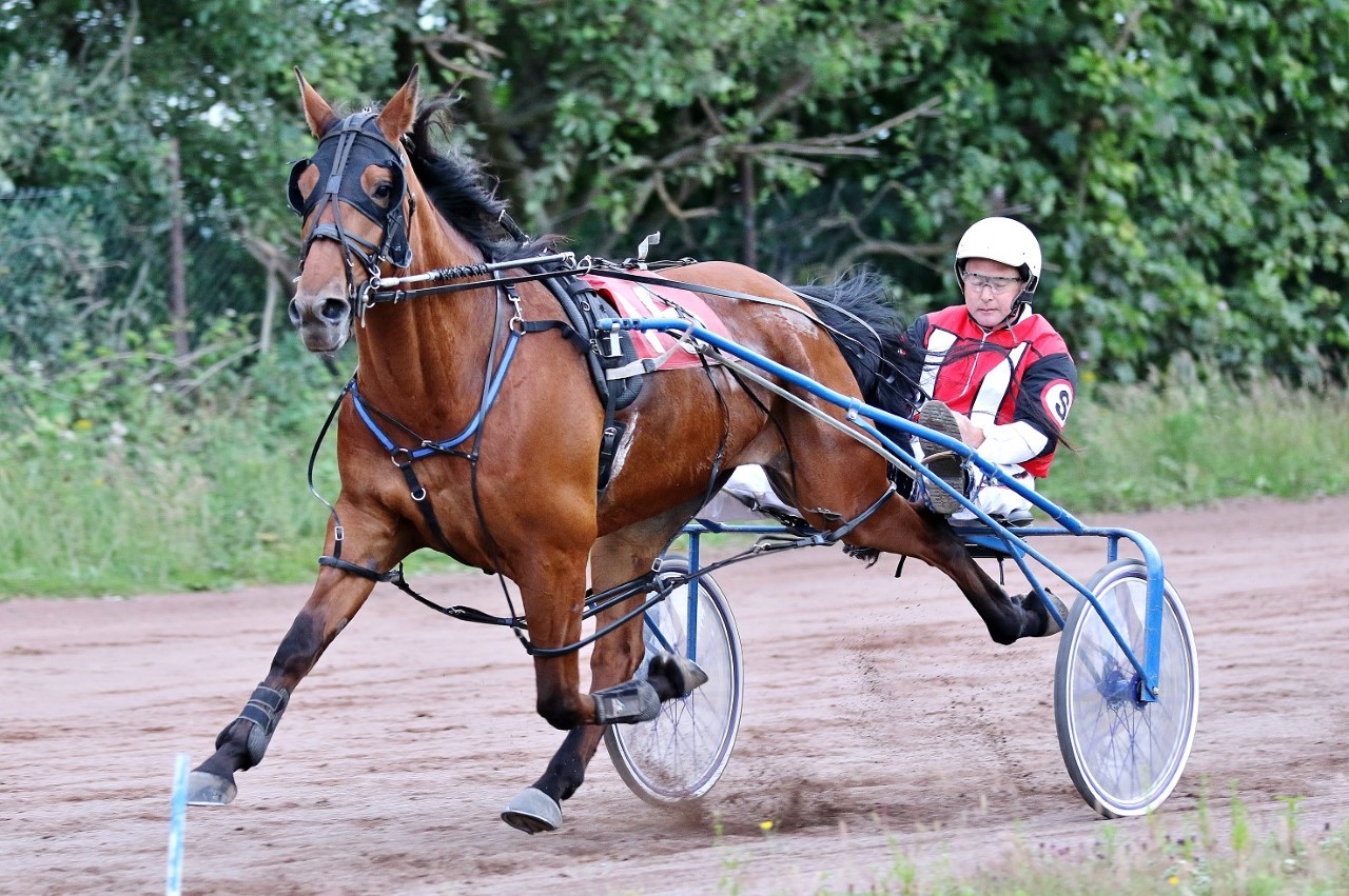 Harness Racing in the UK: 2016 Season: Week 9 - Wales, the greatest ...