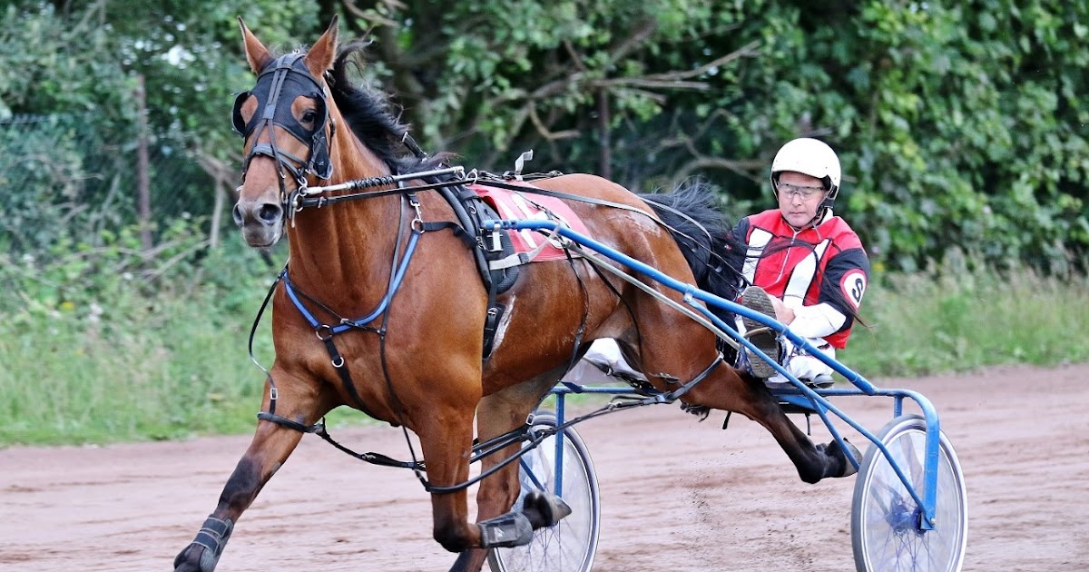 Harness Racing in the UK: 2016 Season: Week 9 - Wales, the greatest ...