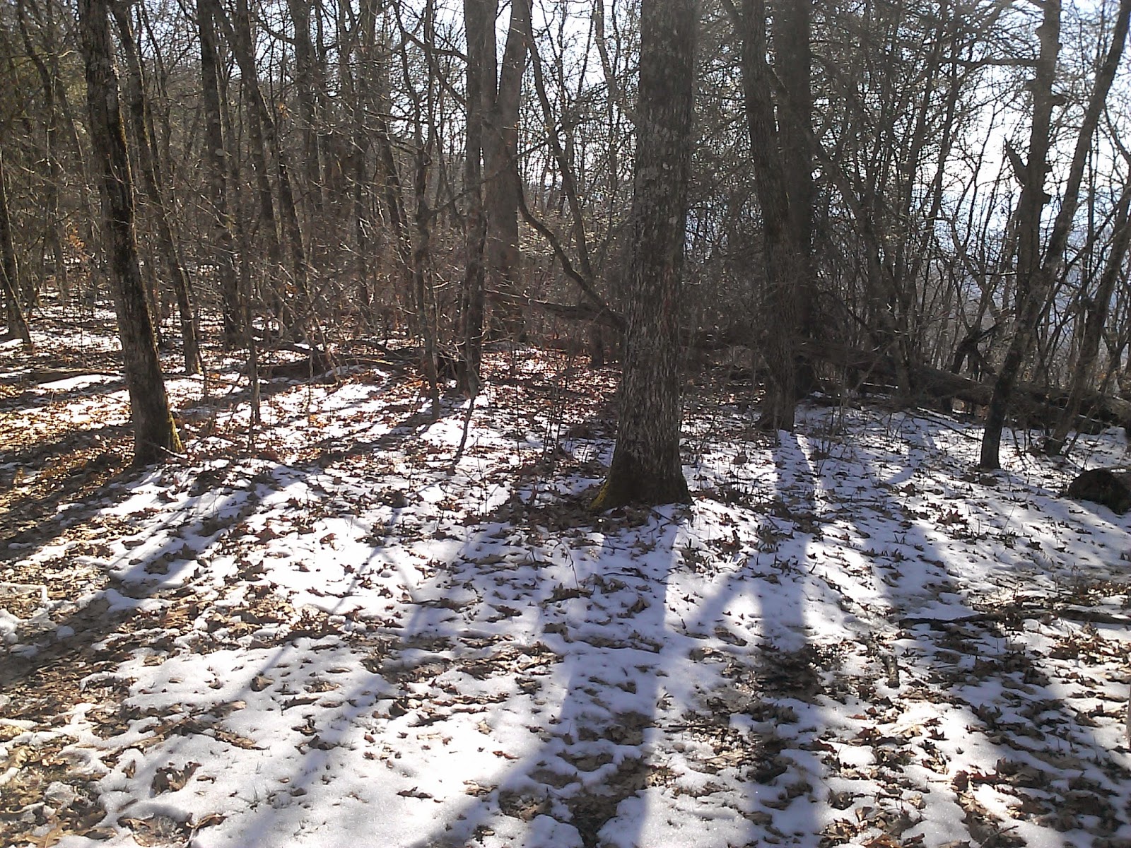 Hikes: Deep Creek - Martins Gap - Sunkota Ridge - Thomas Divide