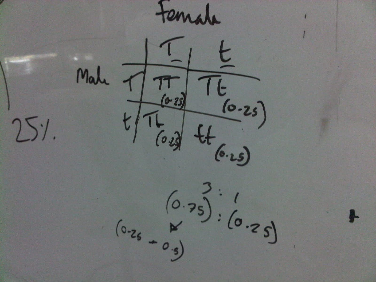 Luke Biology: Genetic calculation
