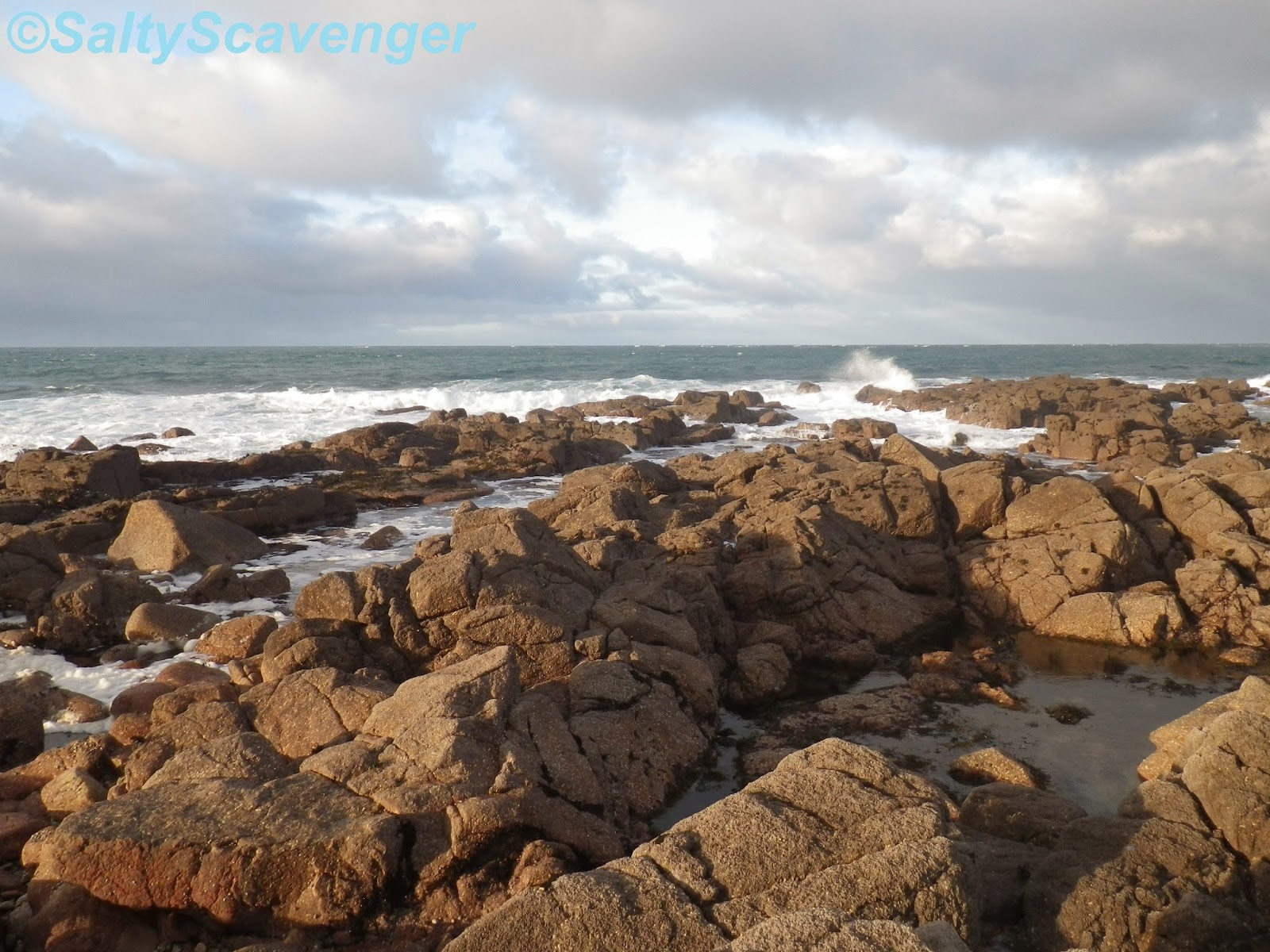 Rock Pooling: Rockpooling Destination: Revisit South- West Penwith ...