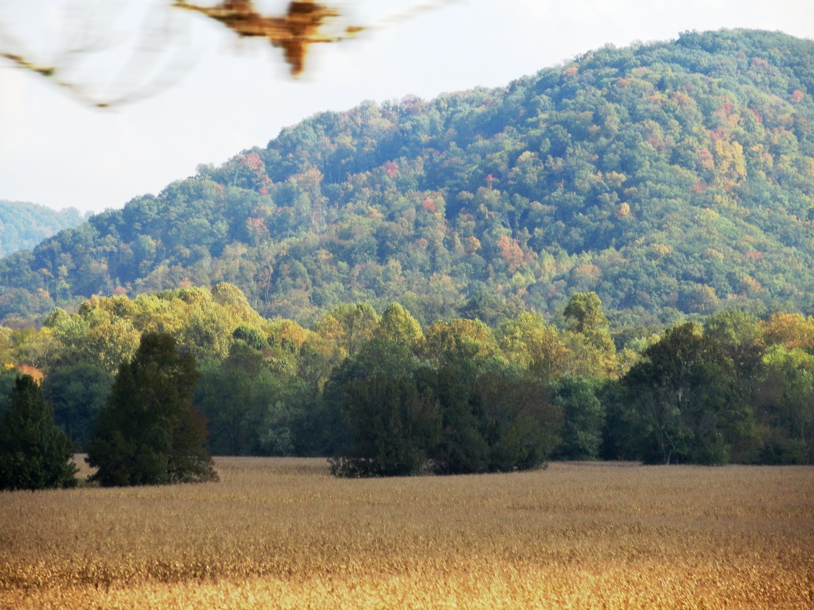 Sandi's Journey...: The Road 'More' & 'Less' Traveled...