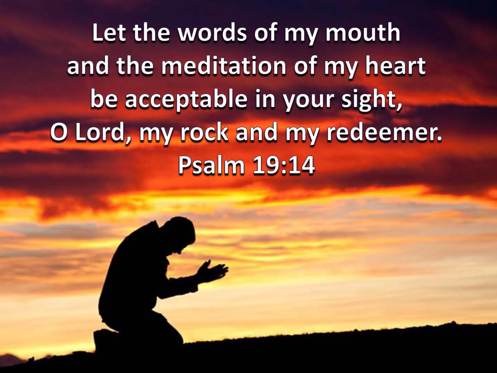 Faith The Evidence Bible Studies Psalms A Guide To Prayer And