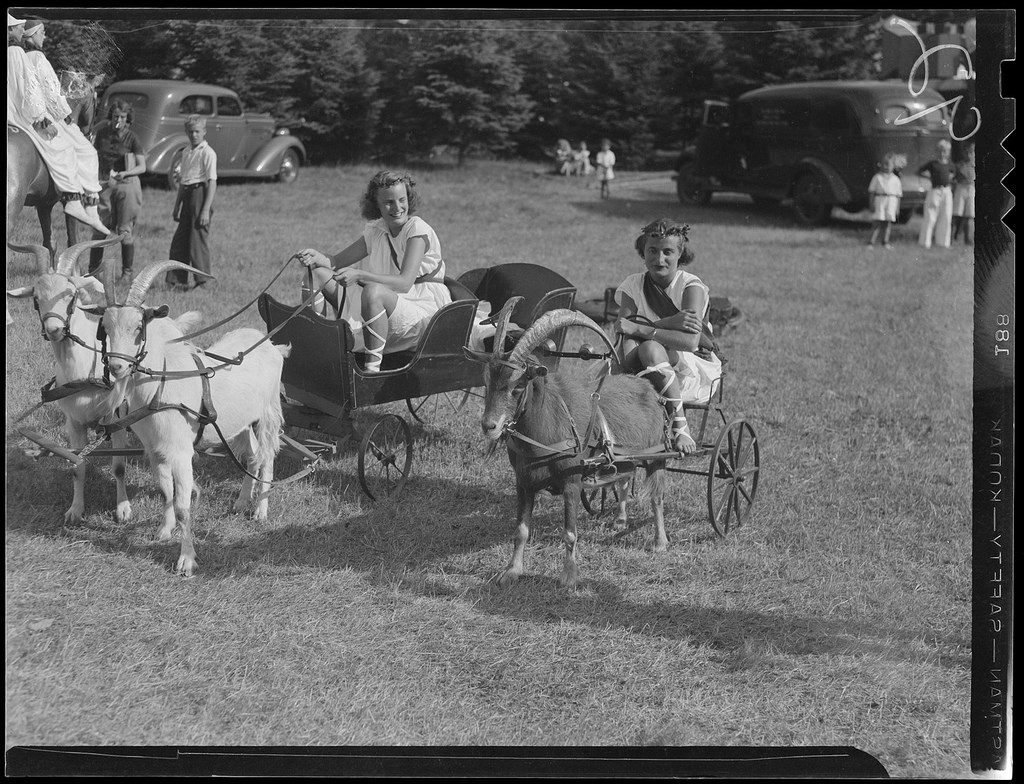 34 Fantastic Photos Capture Farm and Domestic Life of Boston from ...