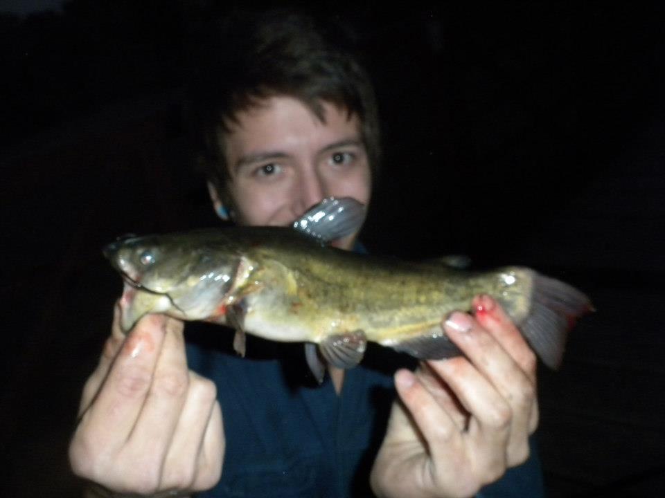 all species fishing: bullhead bonanza
