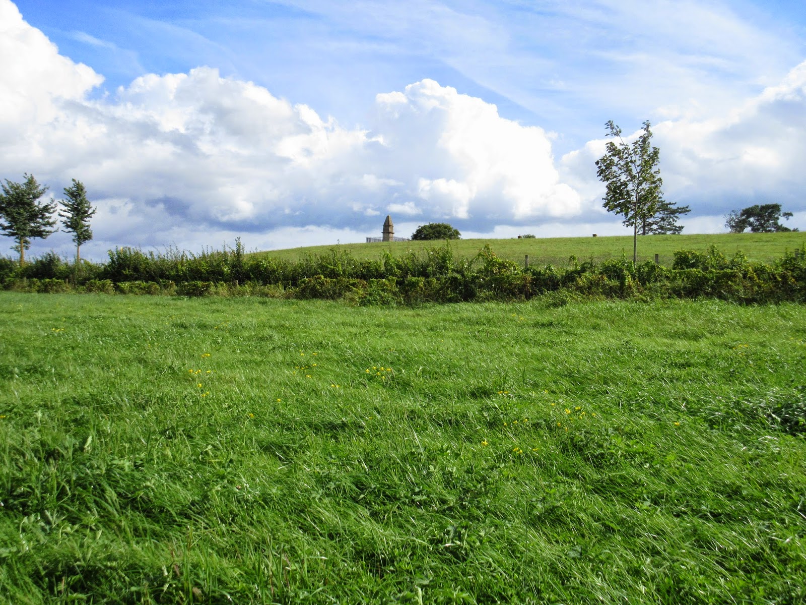 Old Fields of History