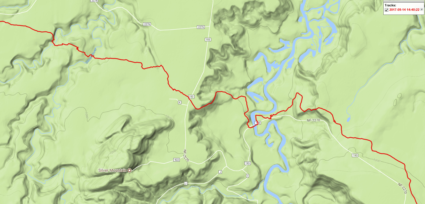 Heart and Sole: Ottawa National Forest - Trail among trees