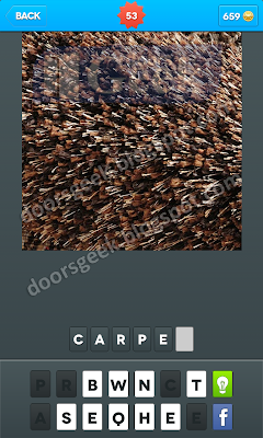 Zoomed In - Photo Word Game Level 53 ~ Doors Geek