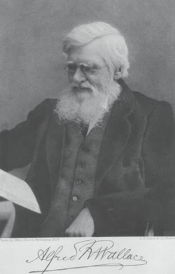 Darwin's God: Alfred Wallace: Evolution’s Creationist in the Closet