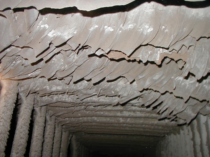 Focus on Biomass Ash