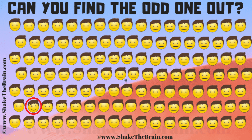 Spot the Different Picture Puzzle with an Answer