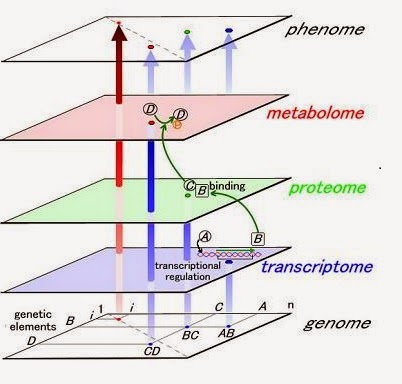 Metabolomic Techniques in Food & Agriculture,Systems Biology,Omics ...
