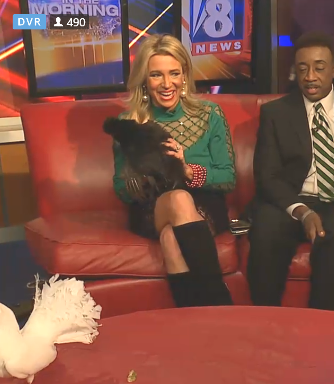 THE APPRECIATION OF BOOTED NEWS WOMEN BLOG : stefani schaefer