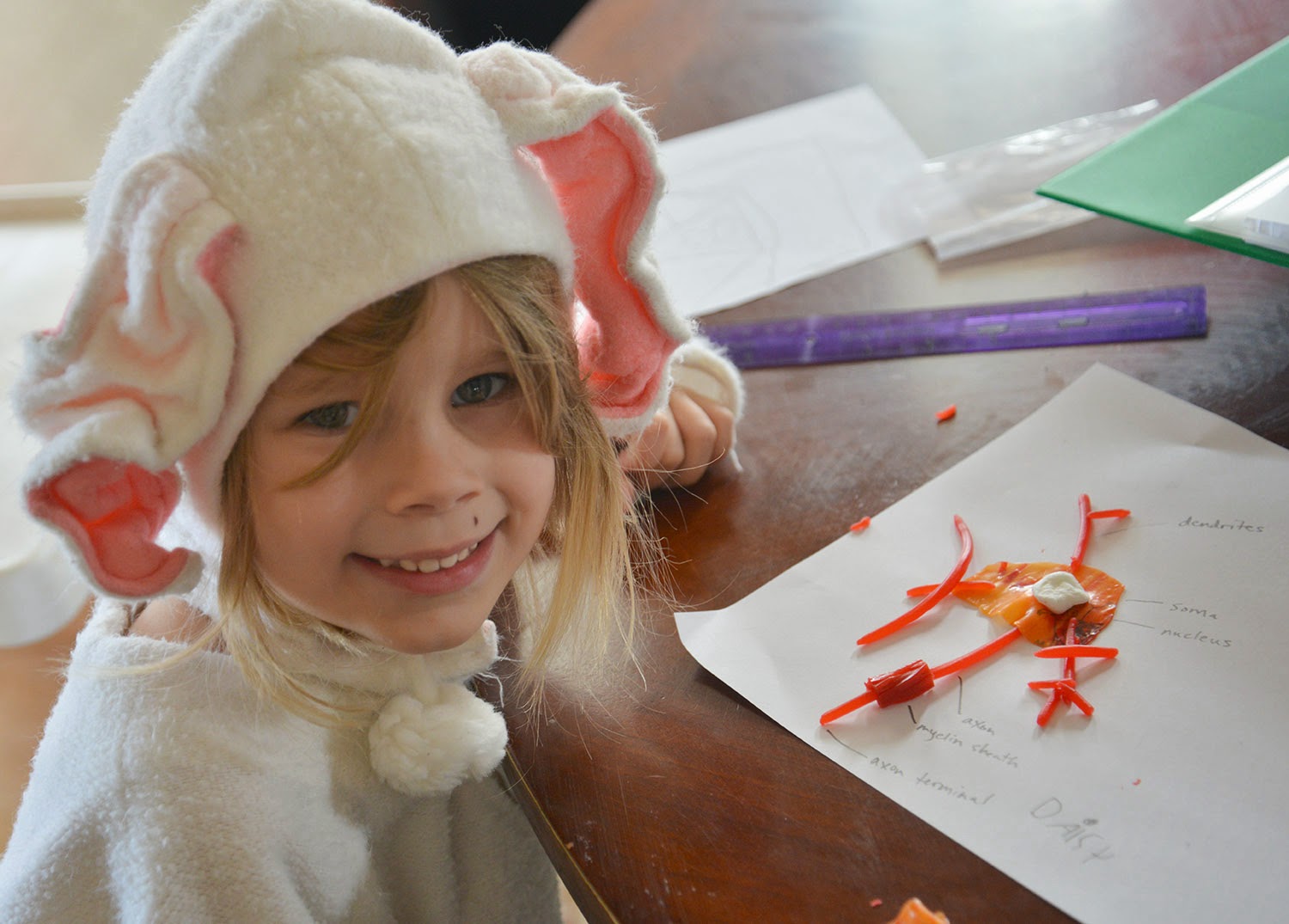 A school of fish: Neuron Models with licorice and fruit leather, and ...