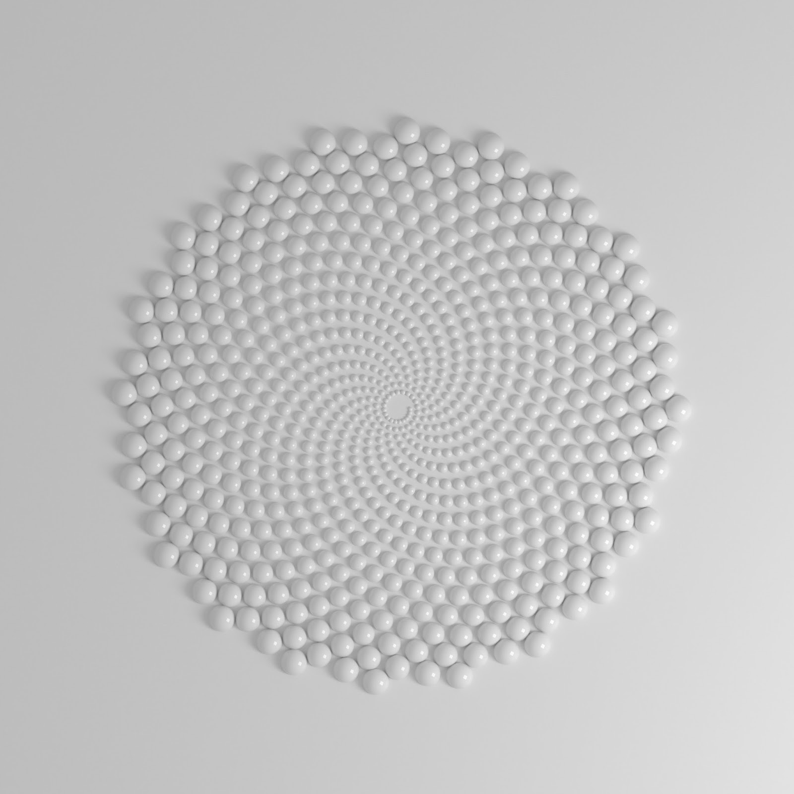 rwny : 35 Phyllotaxis