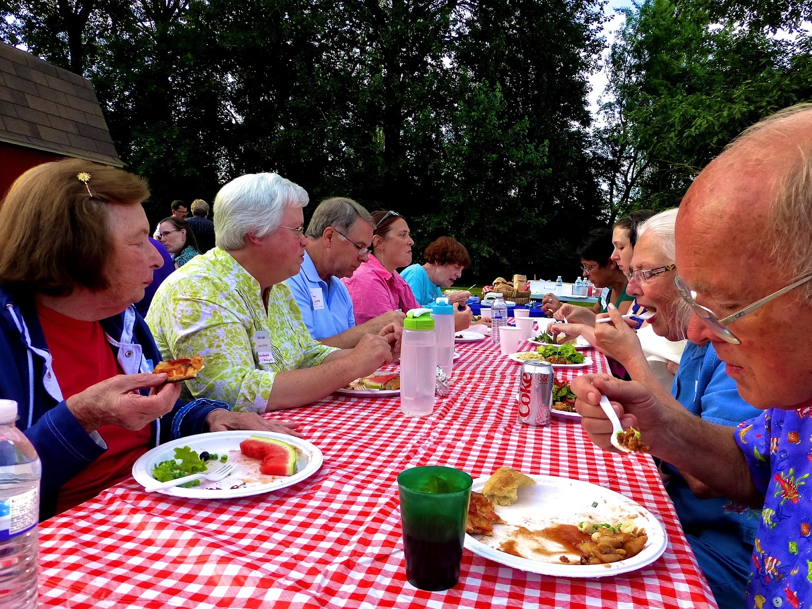 Shoreline Area News: Council of Neighborhood Picnic