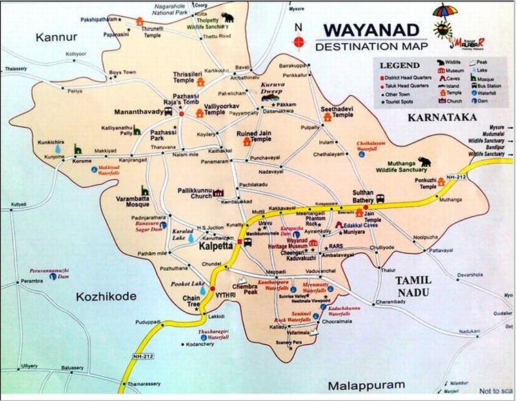 wayanad ~ hotel mintflower wayanad