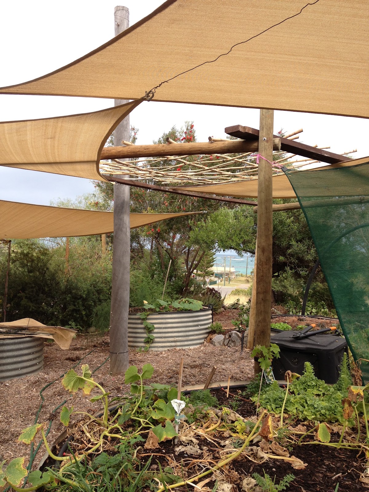 What's Next?: A garden tour
