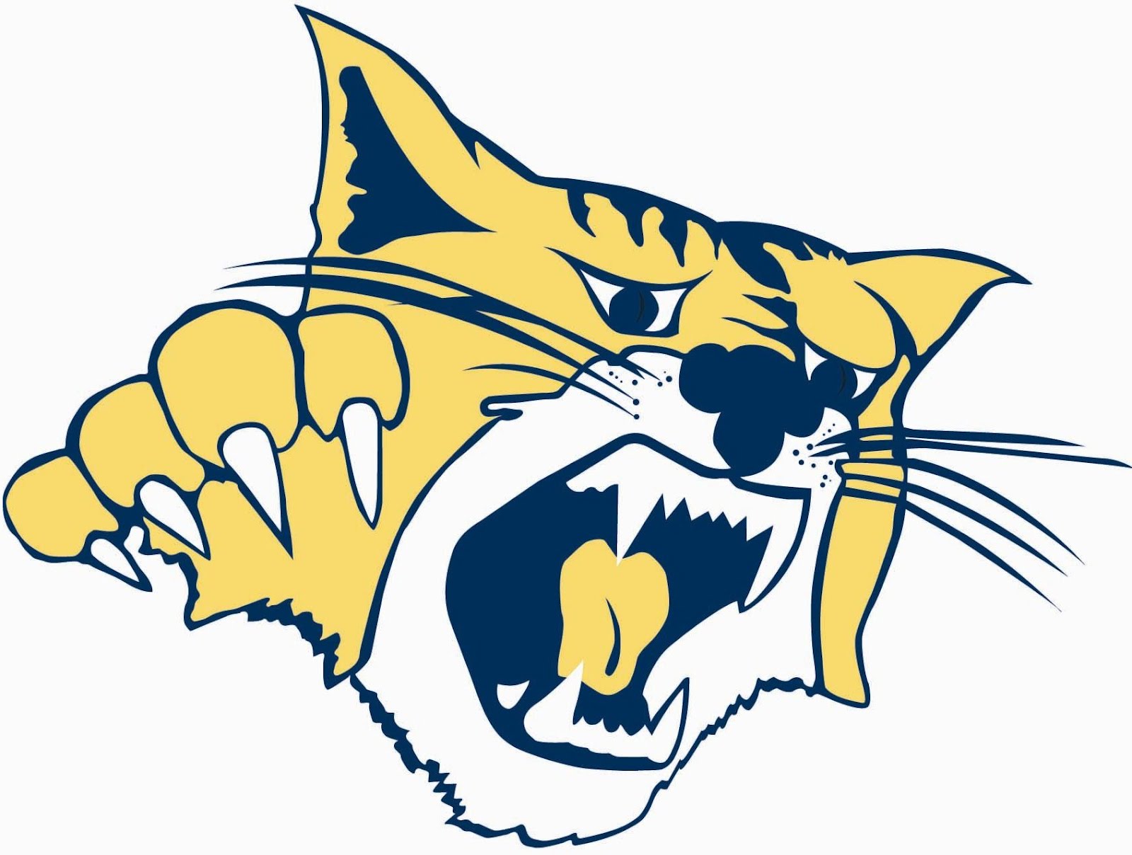 Oxford High School Varsity Hockey: Freshmen trio progressing for Wildcats