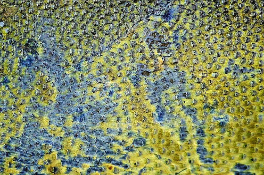 A Tale of Two Chemists: Heading North