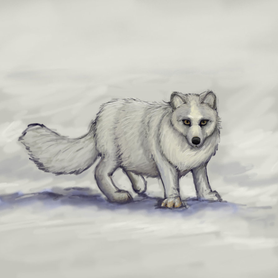 Page Layout: Sketch Style