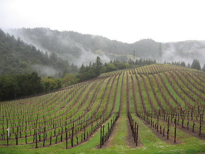 Bach to Bacchus: Marston Family Vineyard