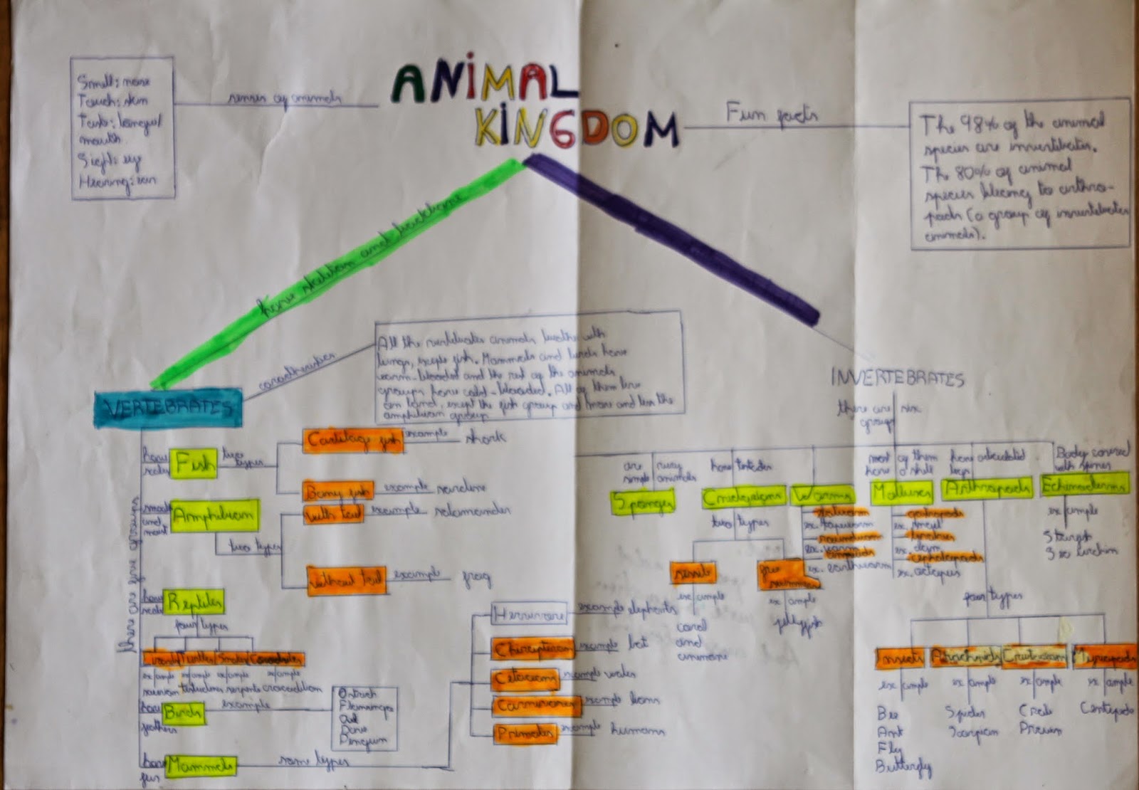 PILE: Scienglish: Mapping our (animal) mind 1.