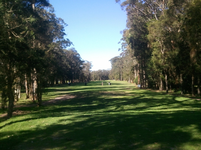 Terrigal Ladies Golf: June 23rd, Loreal Cup, Stableford/Vets Ball 4th ...