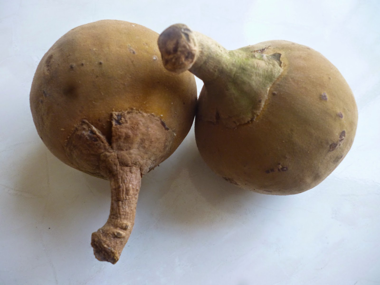 Cuerpo Vital: Propiedades y beneficios del Zapote.