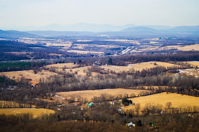 Natural Mid-Atlantic : Bull Run Mountain and the Shortleaf Pine
