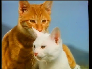 TELA DE CINEMA: AS AVENTURAS DE CHATRAN (Dublado) - 1986