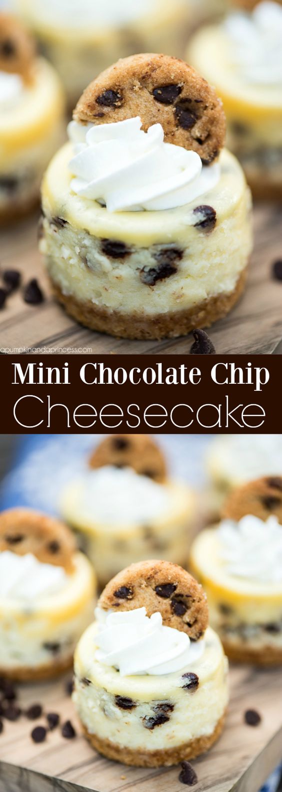 Mini Chocolate Chip Cheesecakes Recipe - Girls Dishes