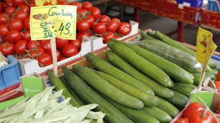 anna maria: Spanish Cucumber Panic in Europe