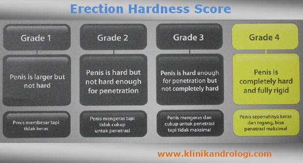 Klinik Andrologi: Erection Hardness Score (EHS)