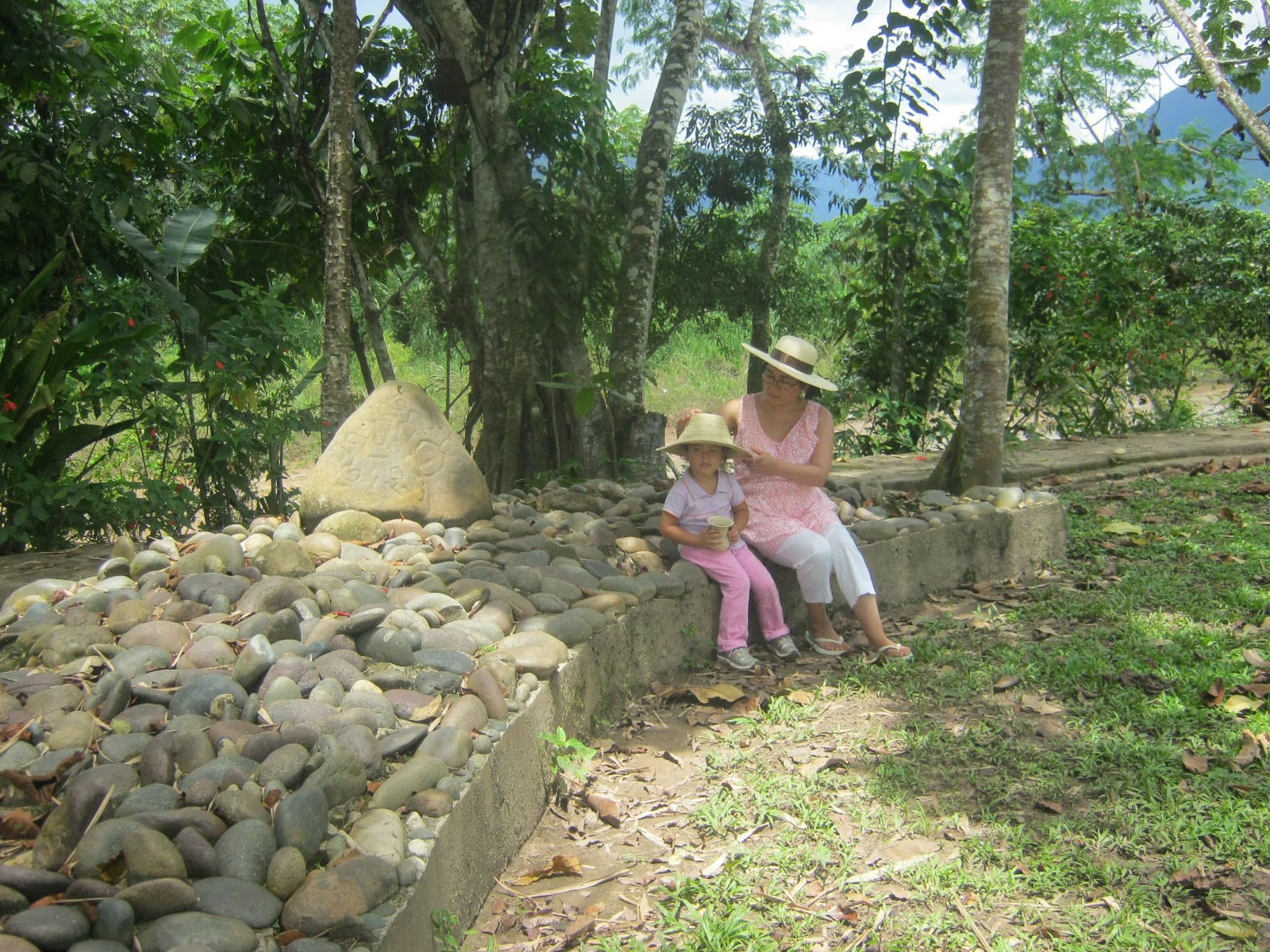 Turismo y Cultura Amazónica: Los encantos del distrito de Chazuta y sus ...