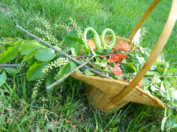 Real Inspired: Picking Branches