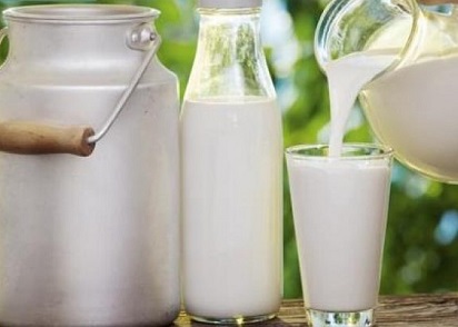 Resep Cara Mengolah Susu Sapi Segar Menjadi Minuman yang Enak ...