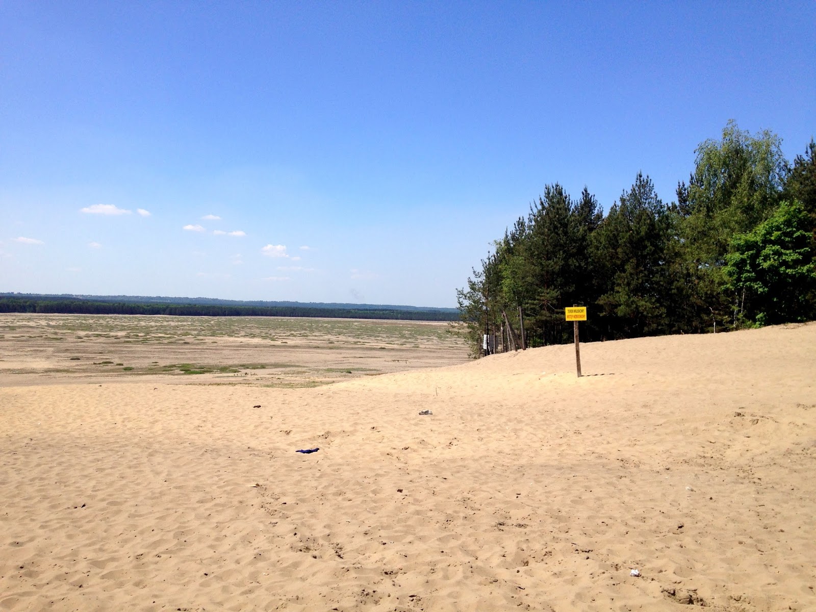 Pustynie w Polsce? Jak to? | Wild Heart Tour