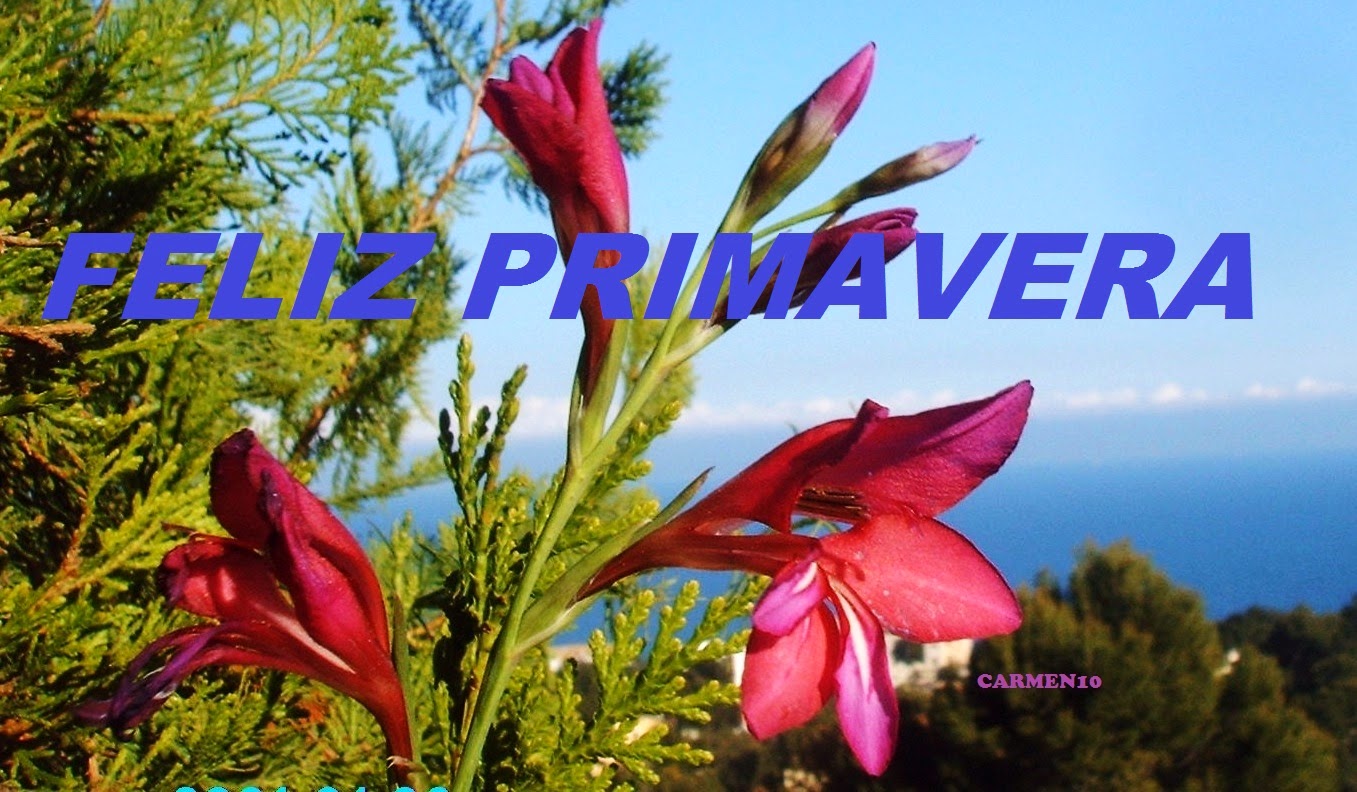 10 COLORADO. AZULES Y VERDES: FELIZ PRIMAVERA - AMOR Y ROSAS PARA TODOS ...