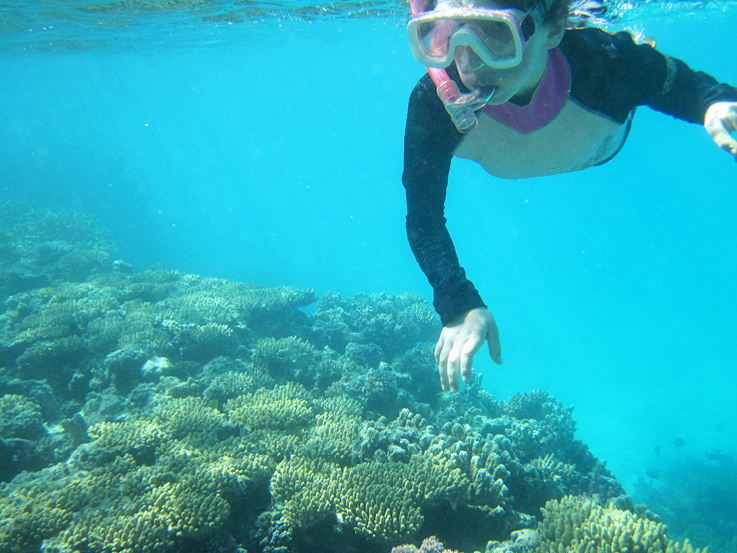 Lucey Blue: Exploring Lady Musgrave Lagoon