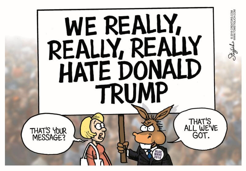 Democrat’s 2018 Platform Summed Up by One Cartoon - STATIONGOSSIP