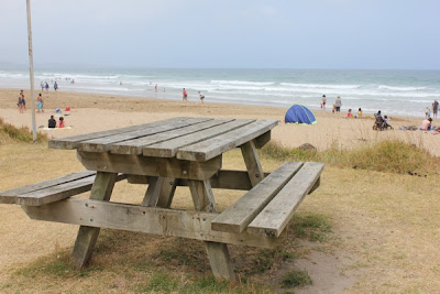 Green Gourmet Giraffe: Bush birthday banana cake and other self ...